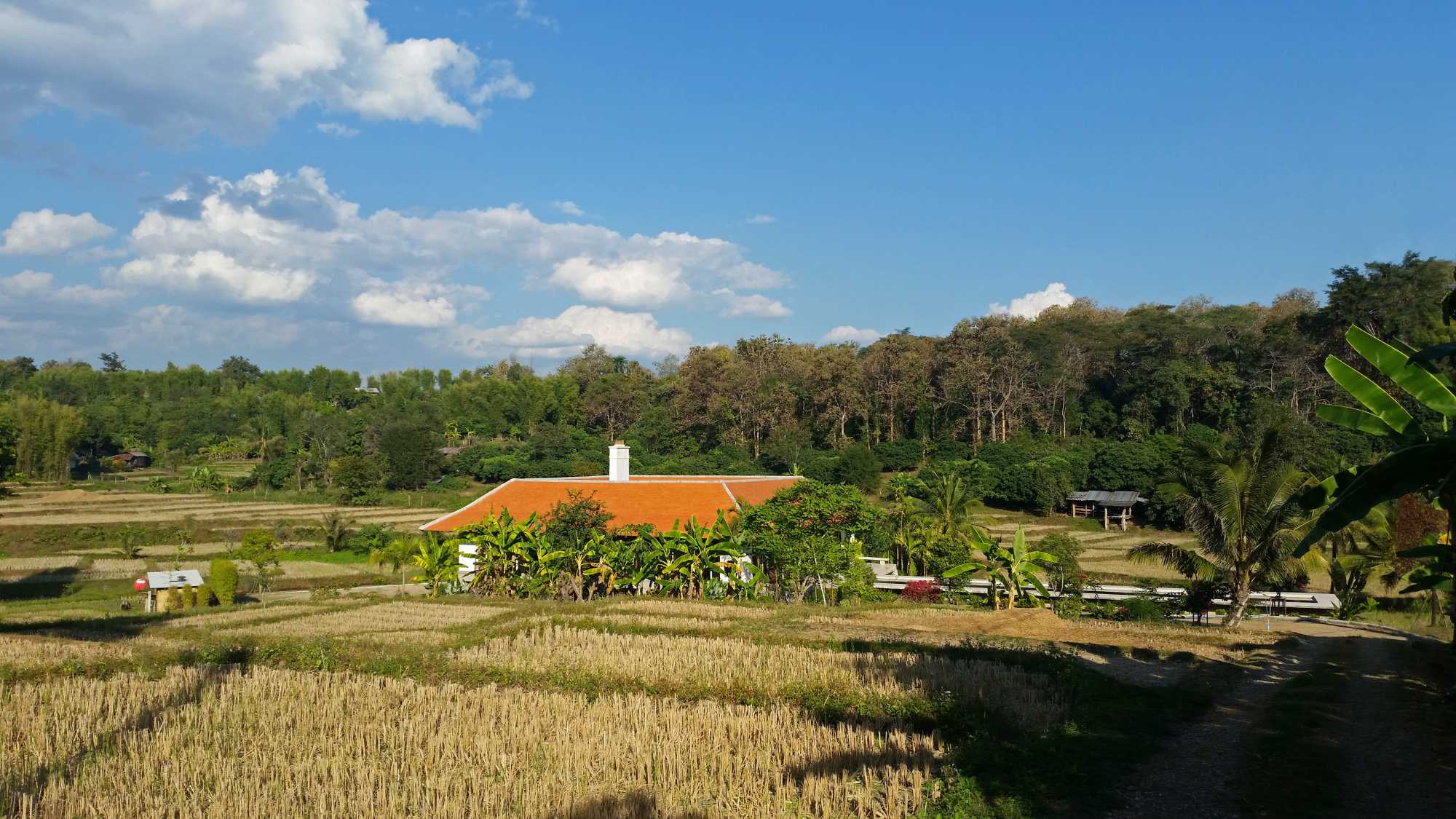 Summer Cottage – Ong-ard Architects