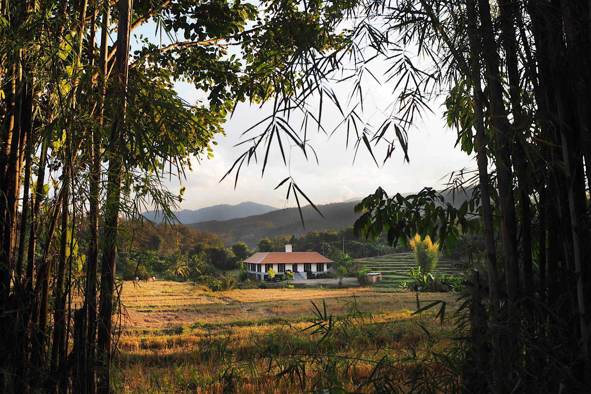 Summer Cottage – Ong-ard Architects